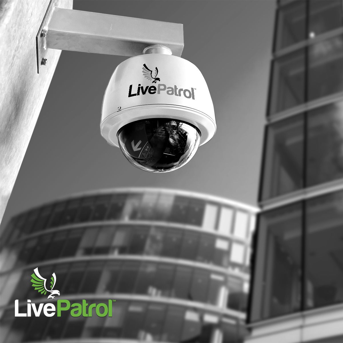 Wireless Security Camera Systems for Businesses